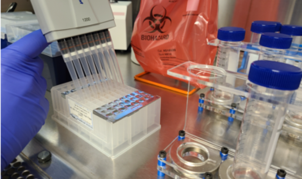 Wastewater Testing | COVID Surveillance Testing